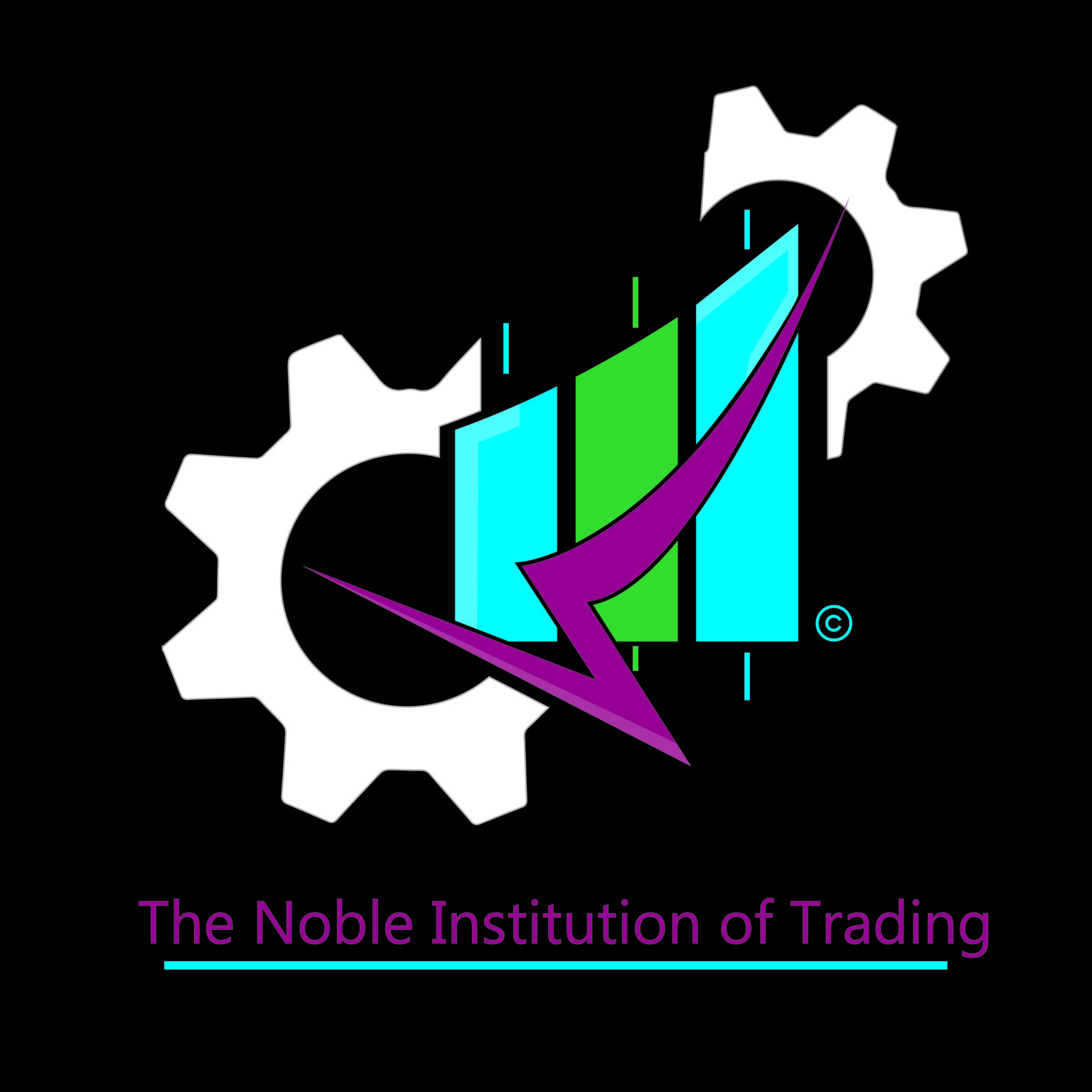 TNI TRADING – The Noble Institution
